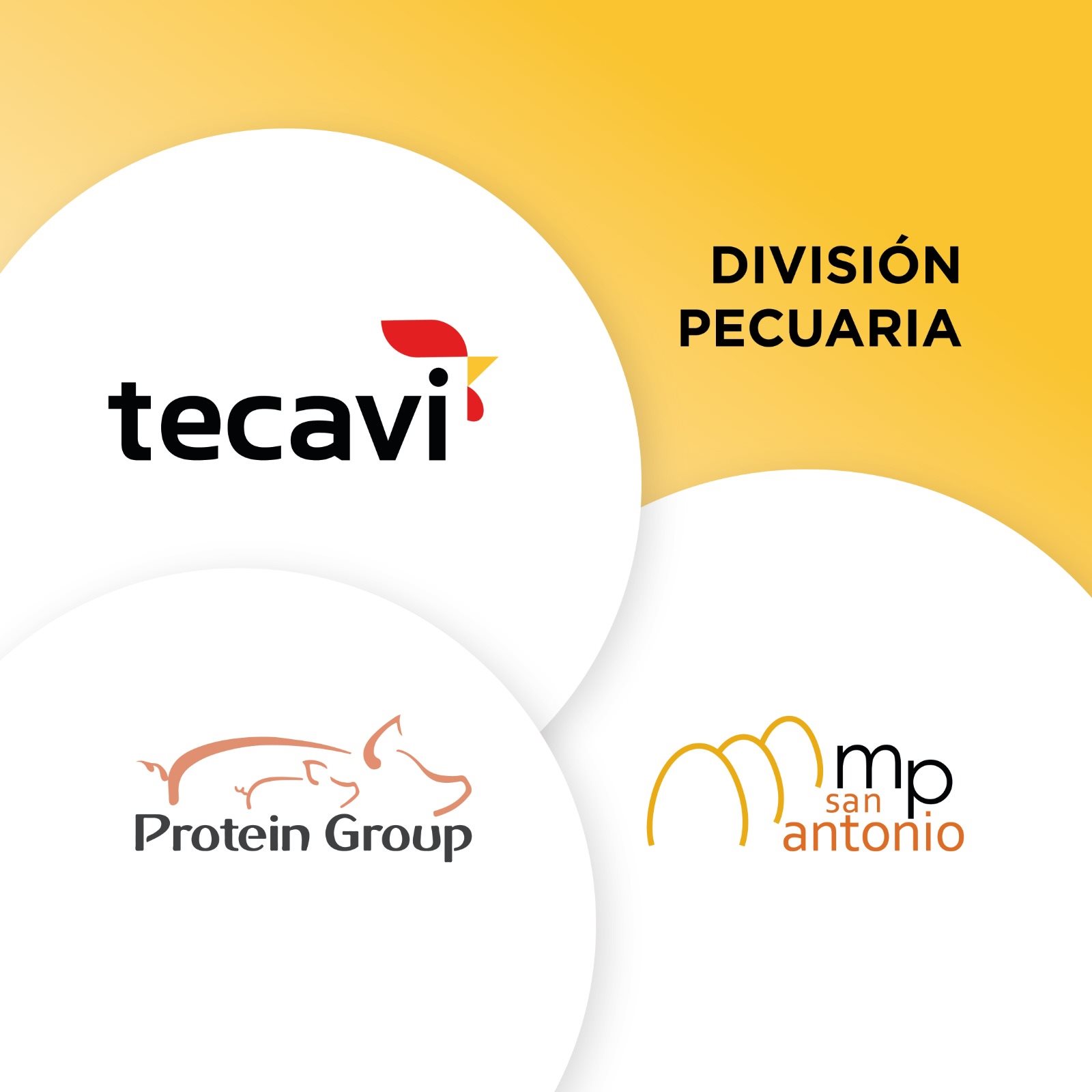 Analista de Presupuestos y Control de Gestión / Pacasmayo