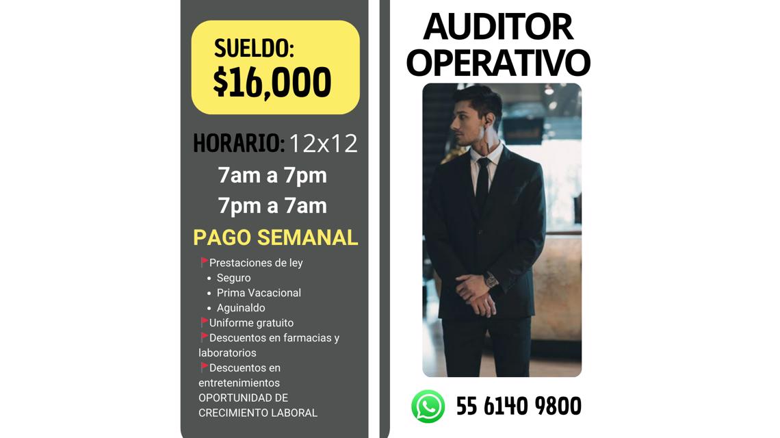 Auditor Operativo